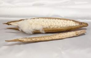 Kapok Pillows Organic Cotton or Bamboo Shells | kapok.com.au